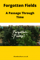 Forgotten Fields Review - A Passage Through Time - PC Reviews